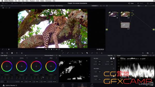 达芬奇12高级调色教程 Lynda - DaVinci Resolve 12 Advanced Color Grading | 龋齿一号GFXCamp 达芬奇12高级调色教程 Lynda - DaVinci Resolve 12 Advanced Color Grading | 龋齿一号GFXCamp